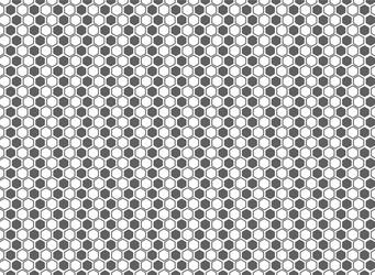 White abstract background with hexagon grey Vector Image