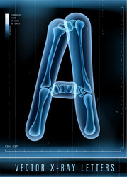 Xray Font Vector Images (61)