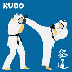 Kudo martial arts fighters Royalty Free Vector Image