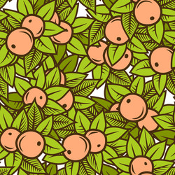 Engraved apple Royalty Free Vector Image - VectorStock