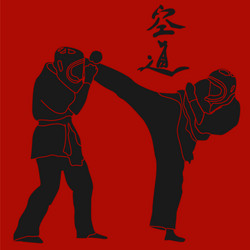Kudo martial arts fighters Royalty Free Vector Image