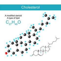 Cholesterol structural formula of molecular Vector Image