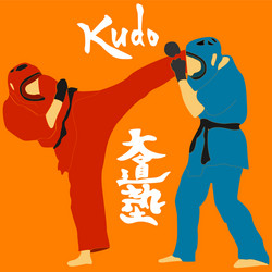 Kudo martial arts fighters Royalty Free Vector Image