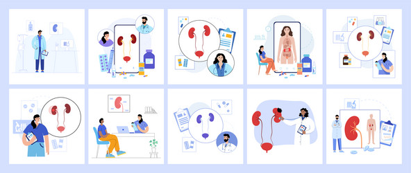 Kidney Vector Images (over 21,000)