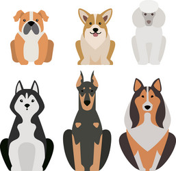 Different dogs breed isolated on white Royalty Free Vector