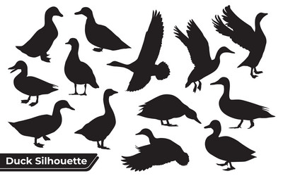 Animal duck silhouette collection Royalty Free Vector Image