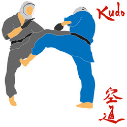 Kudo martial arts fighters Royalty Free Vector Image
