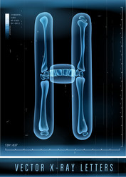 Blue 3d x ray style alphabet Royalty Free Vector Image
