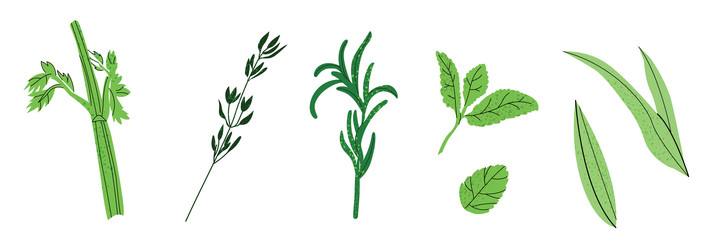 Greenery Vector Images (over 44,000)