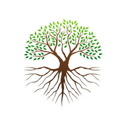 Tree of Knowledge Logo Vector Images (over 2,200)