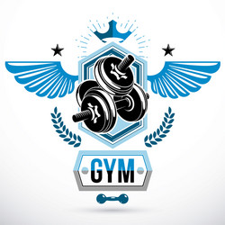 Winged graphic symbol created with disc weight Vector Image