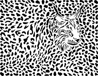 Lynx Vector Images (over 3,000)