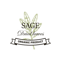 Hand drawn sage logo design in sketch style Vector Image