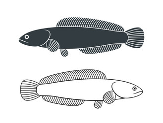 Snakehead Vector Images (75)