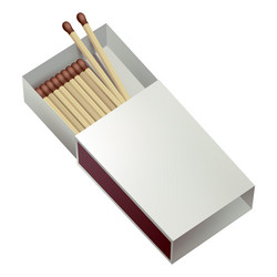 Opened matchbox sulphur and wooden sticks lying Vector Image