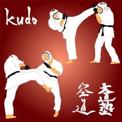 Kudo martial arts fighters Royalty Free Vector Image