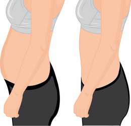 Fat and slim girl before after Royalty Free Vector Image