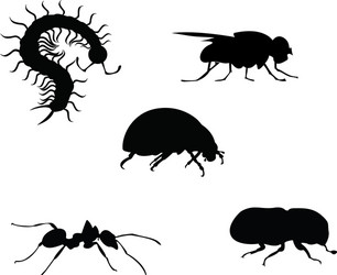 Insect Vector Images (over 190,000)