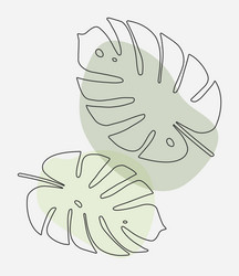 Monstera Outline Vector Images (over 3,000)