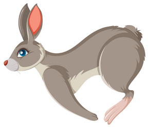 Jumping Rabbit Vector Images (over 4,300)