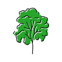 Padauk tree jungle amazon line icon Royalty Free Vector