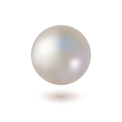 Shiny Pearl Vector Images (over 9,000)