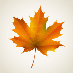Single Leaf Vector Images (over 38,000)