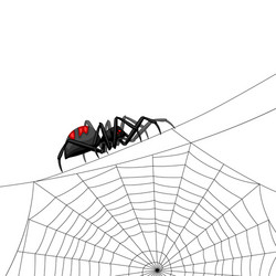 Spider black widow cobweb red 3d Royalty Free Vector Image