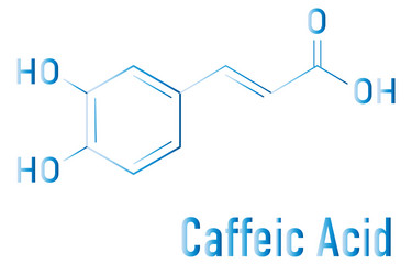 Caffeic acid molecule skeletal chemical formula Vector Image