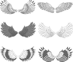 Bird Wings Vector Images (over 160,000)
