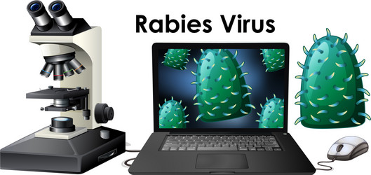 Rabies Virus Vector Images (over 810)