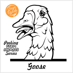 Peeking goose - cheerful goose out - face Vector Image