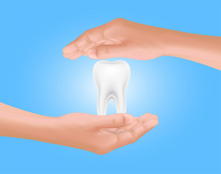 Hands holding tooth Royalty Free Vector Image - VectorStock
