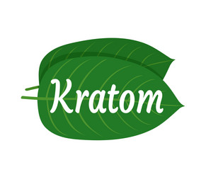 Kratom Vector Images (54)