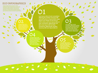 Beautiful bio infographics with tree Royalty Free Vector