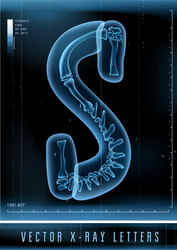 X-ray font transparent roentgen alphabet Vector Image