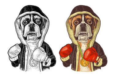 Boxer Robe Vector Images (over 110)