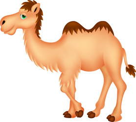 Cute camel cartoon Royalty Free Vector Image - VectorStock