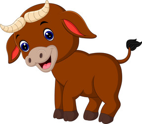 Cute baby bull cartoon Royalty Free Vector Image