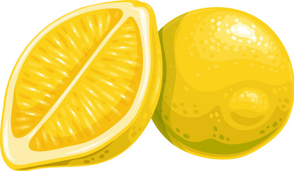Cartoon lemon fruit slices cut and whole with leaf