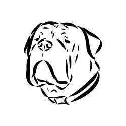 Hand drawn sketch of american bully graphical dog Vector Image