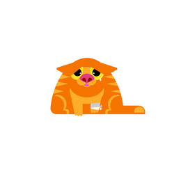 Sick Cat Vector Images (over 5,500)