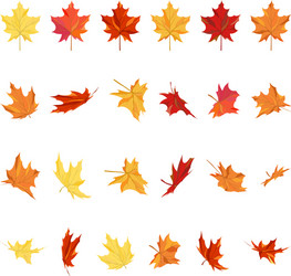 Fall leaves Royalty Free Vector Image - VectorStock
