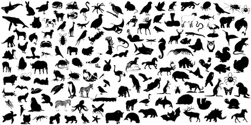 Wildlife Silhouette Vector Images (over 200,000)