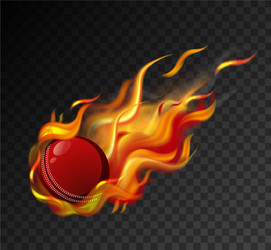 Fire Cricket Ball Vector Images (over 150)
