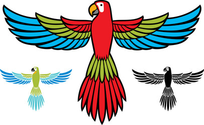 How To Draw A Parrot Flying