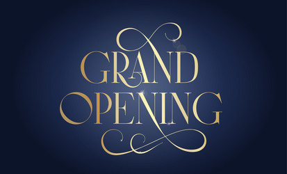 Grand opening advertising template promo Vector Image