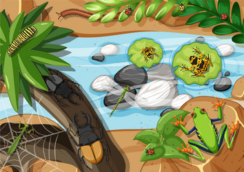 Animal Top View Vector Images (over 2,400)