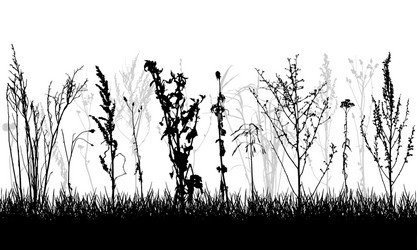 Silhouette grassland beautiful grass and weeds Vector Image