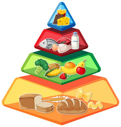 Cartoon food pyramid nutrition infographic Vector Image